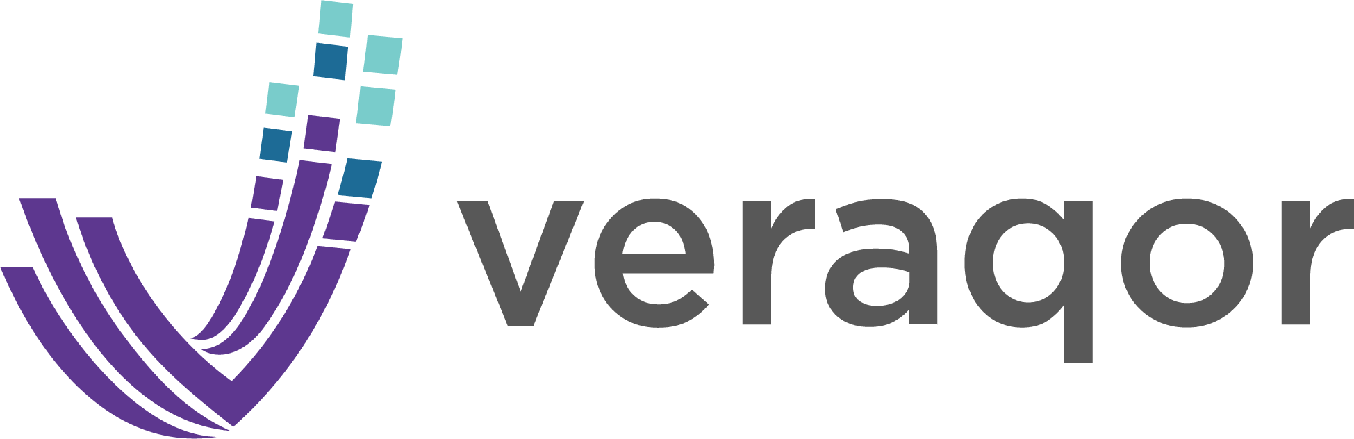 Brand Assets – Veraqor